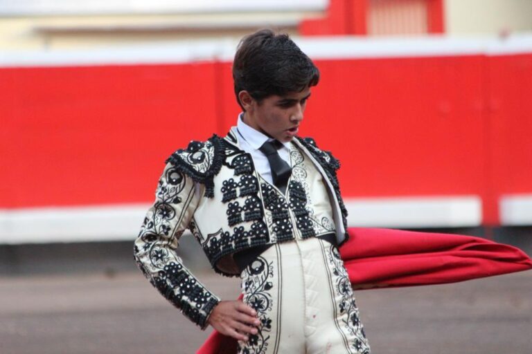 Lo del novillero Manuel Román no tiene nombre... - Contrabarrera 6