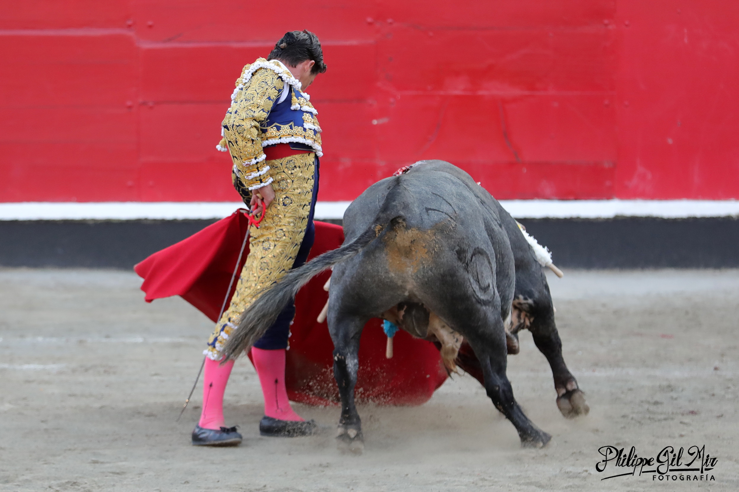 En vídeo: Así bordó Diego Urdiales el toreo al natural en Azpeitia ...
